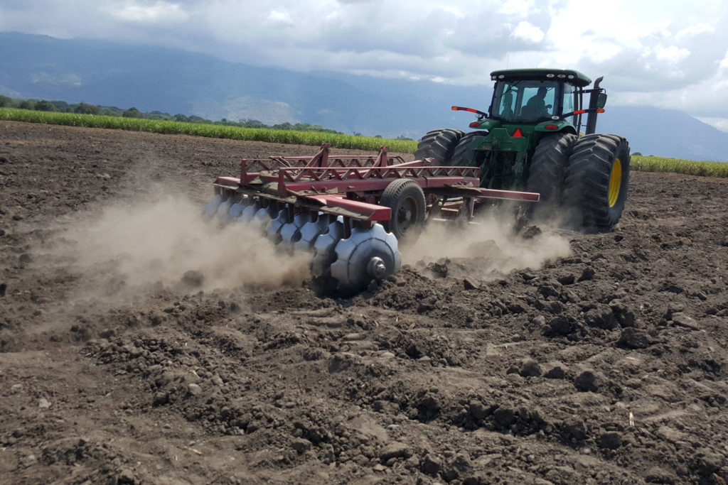Agronomy program - Cenicaña
