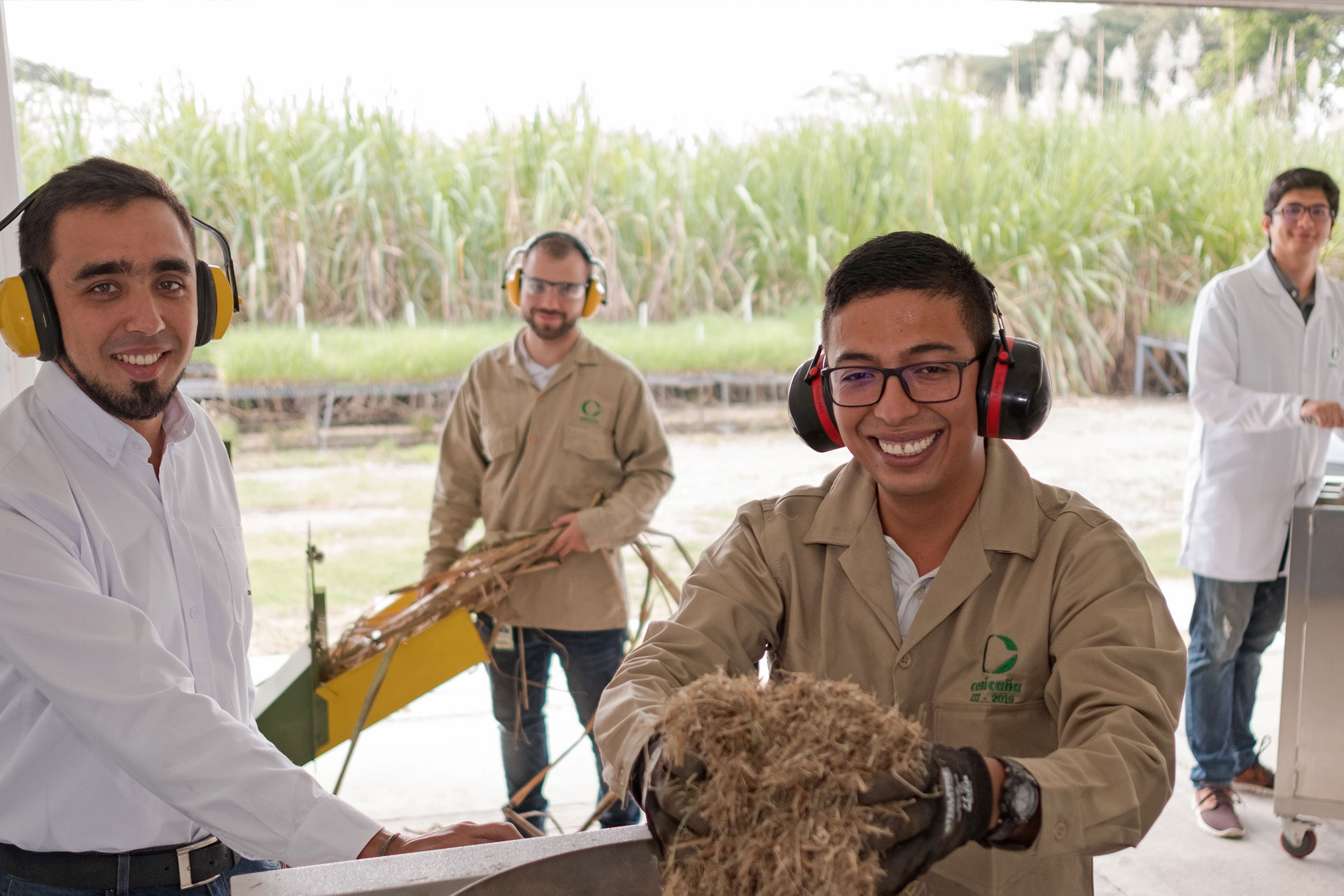 agricultural waste - Cenicaña
