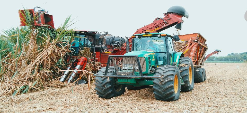 Capacitación de cosecha mecánica. – Cenicaña