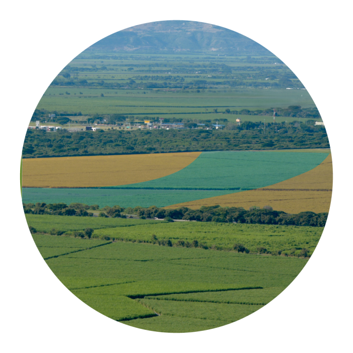 Sistema experto de fertilización – SEF – Versión 3.0 – Cenicaña