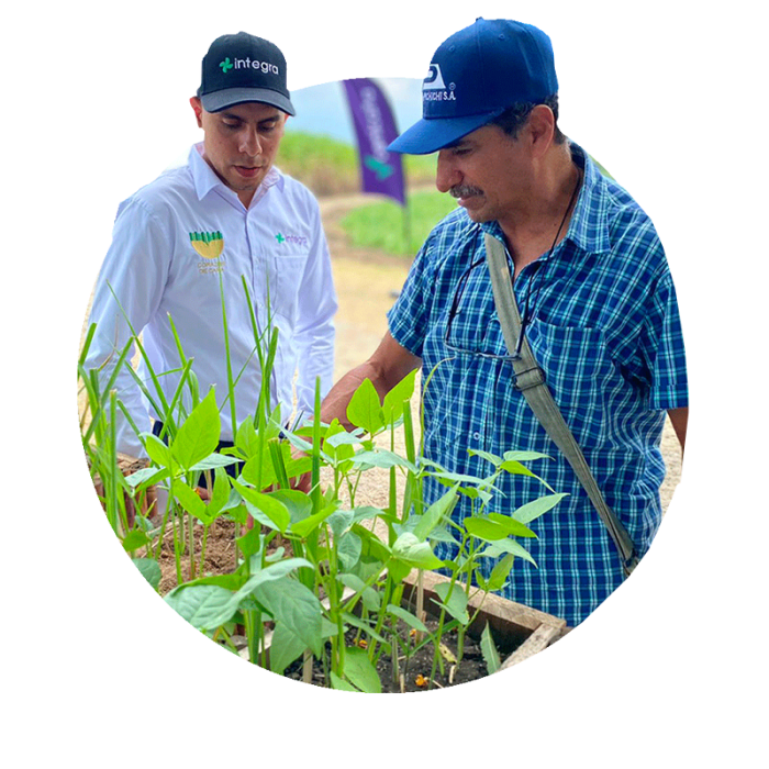 | Programa Integra – Cenicaña